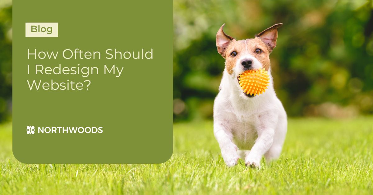 How Often Should I Redesign My Website?