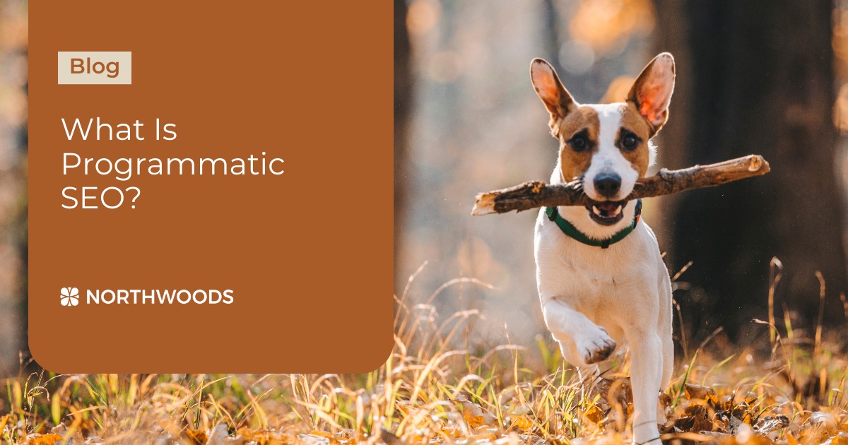 What Is Programmatic SEO?