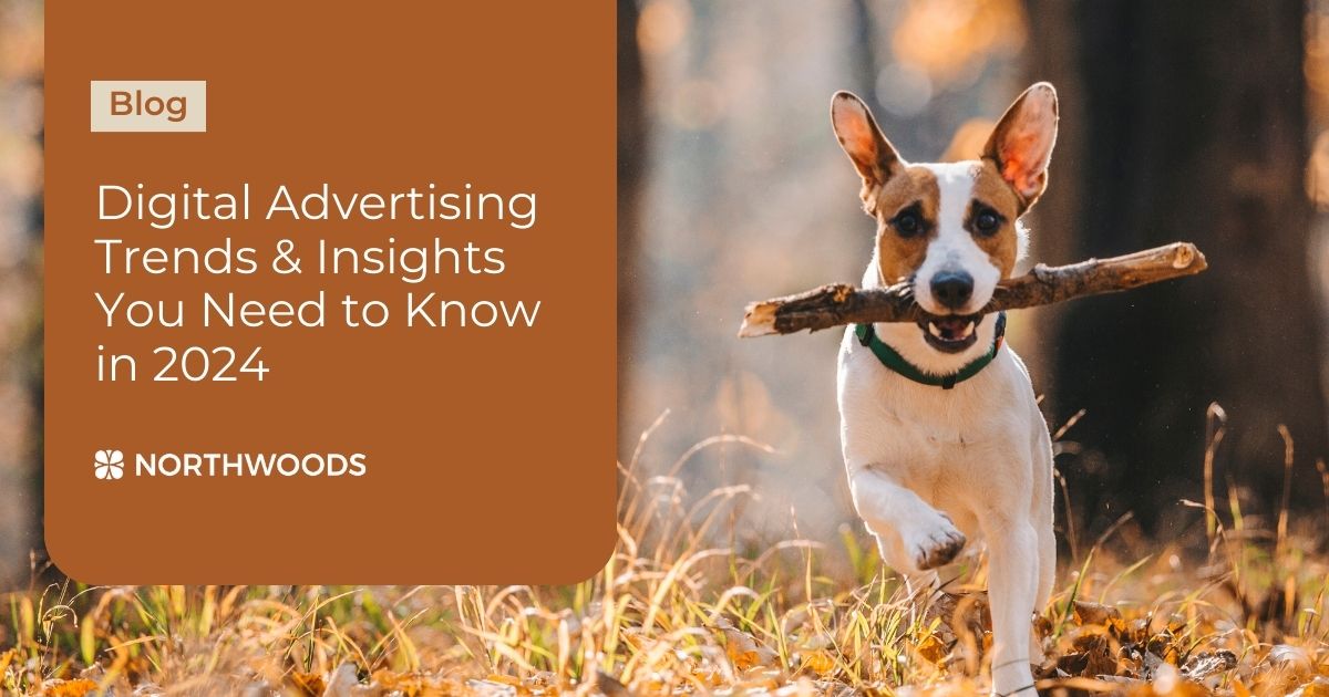 Digital Advertising Trends & Insights You Need to Know in 2024